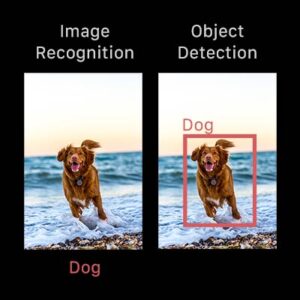 Free Object Detection Challenge | Data-Driven Science